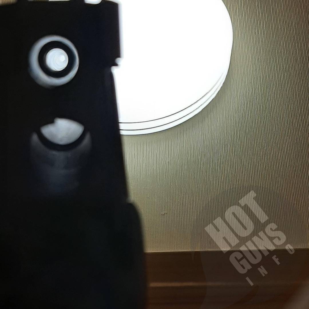 Вогнепальна зброя - Комбінована зброя — Чеська збруйовка ZH-308 — Дошка ...