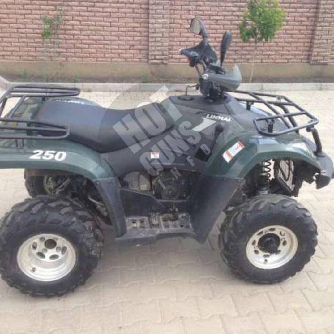 Транспорт - Квадроцикли — Продам Квадроцикл Linhai, 250, 950 км пробег ...