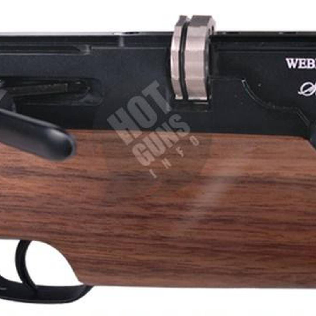 Пневматична зброя - Пневматичні гвинтівки — ВИНТОВКА ПНЕВМАТИЧЕСКАЯ PCP ...